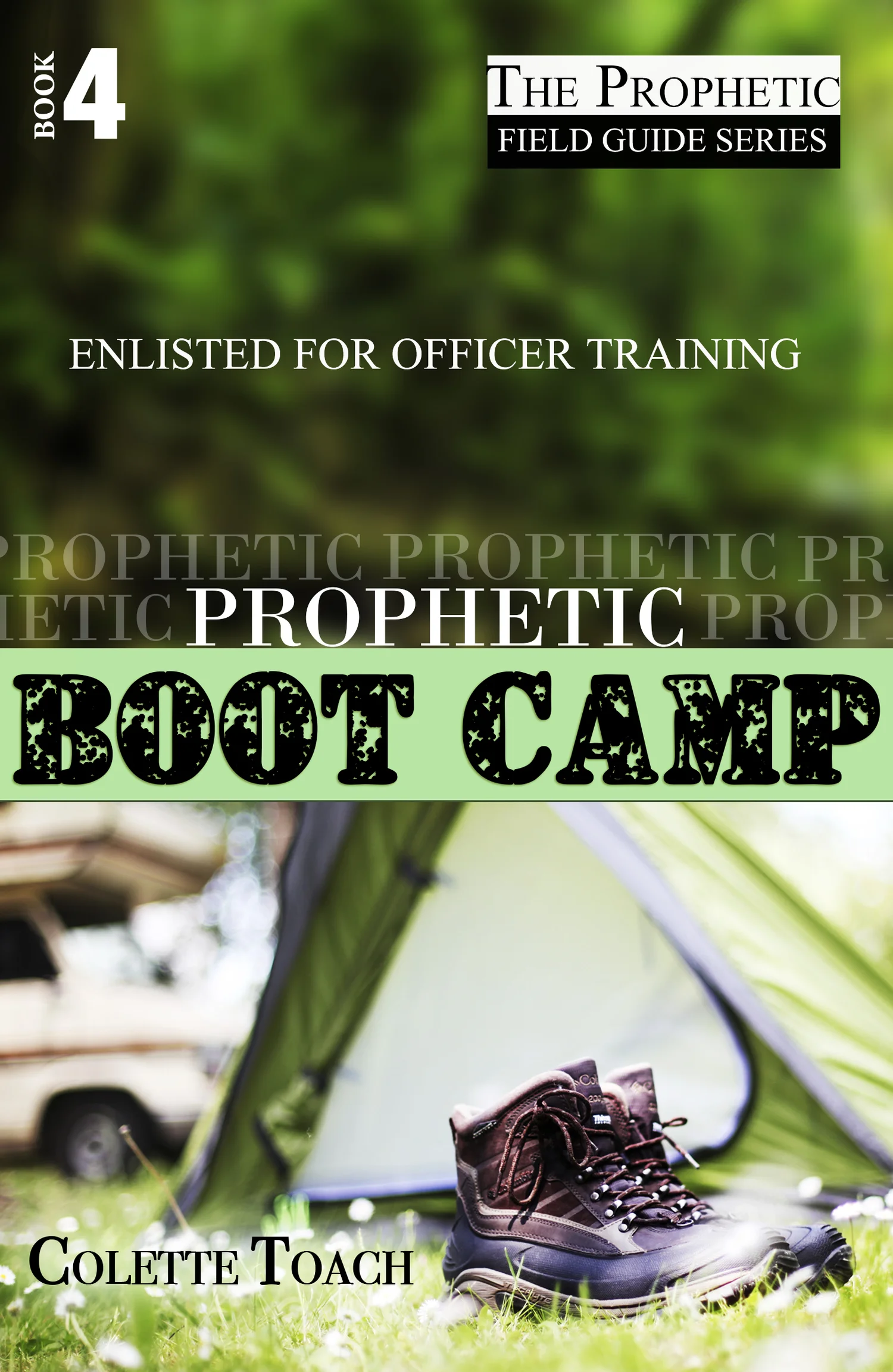 5 Signs That You are In Prophetic Training — Toach Ministries International