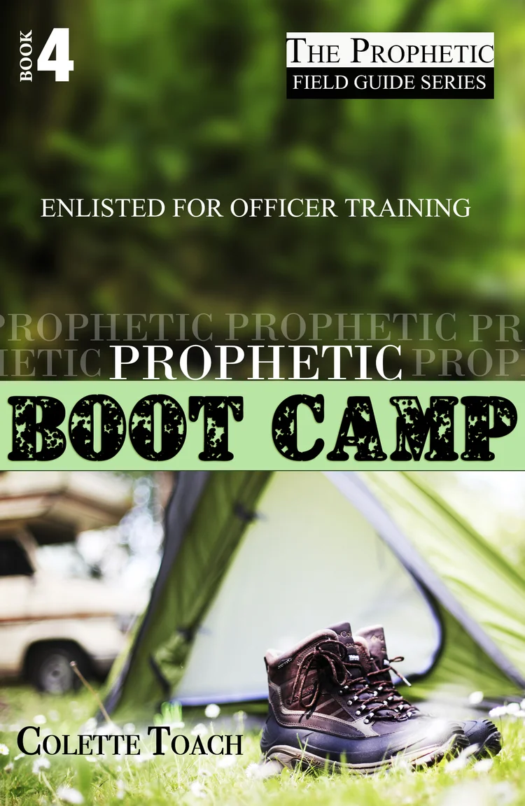 5 Signs That You are In Prophetic Training — Toach Ministries International