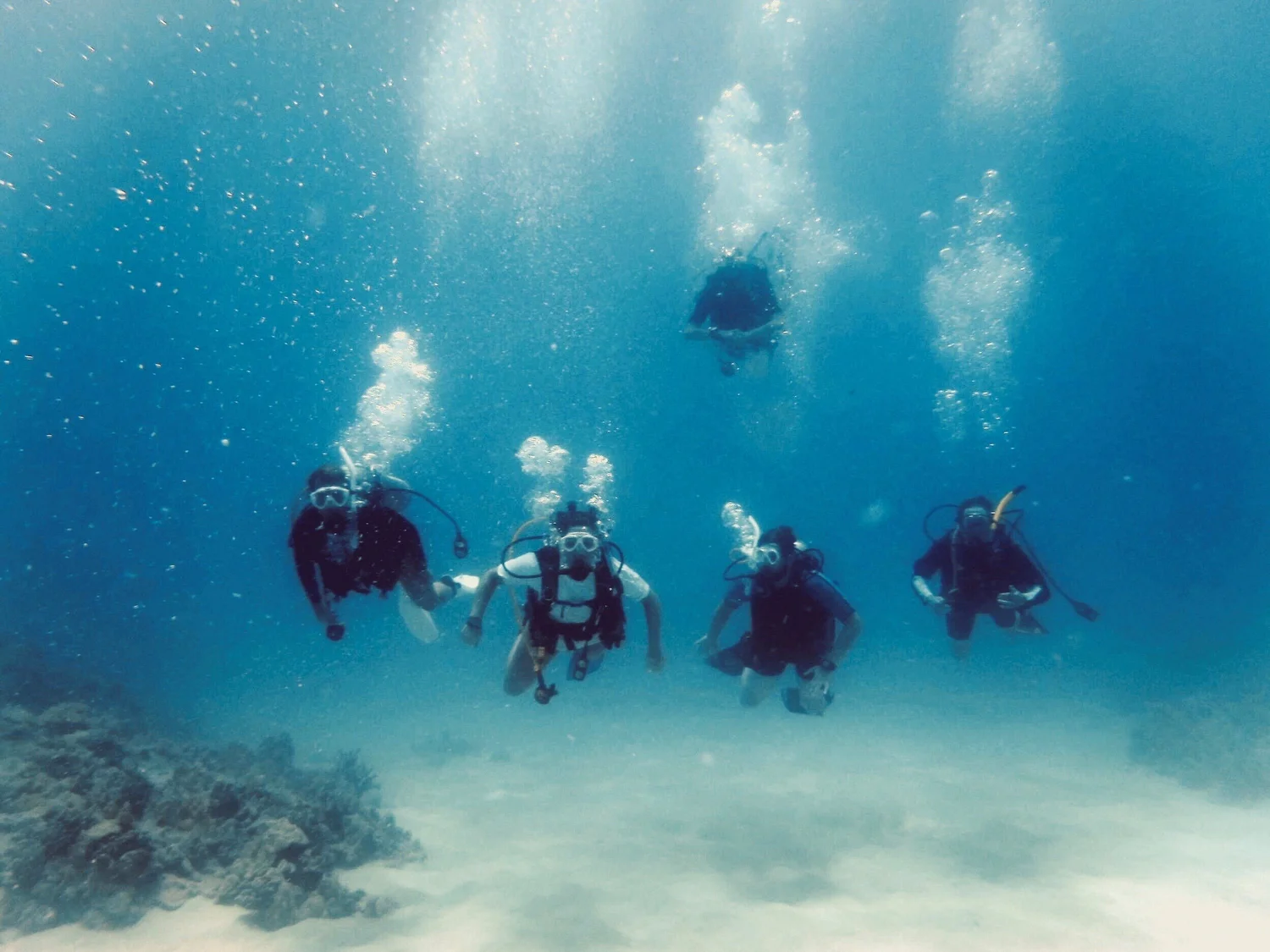 Private Certified and Non-Certified Divers Combo | Kona Hawaii — Kona ...