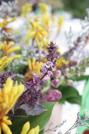 How to Grow Basil for Floral Design — the kokoro garden