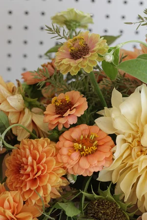 How to Grow Gorgeous Zinnias (For Floral Design) — the kokoro garden