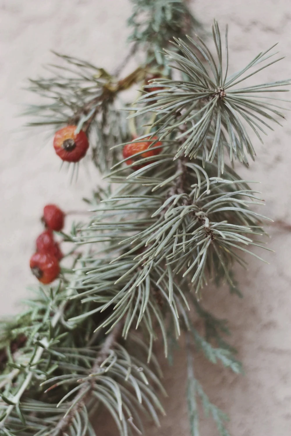 Hosting a Wreathmaking Workshop — the kokoro garden