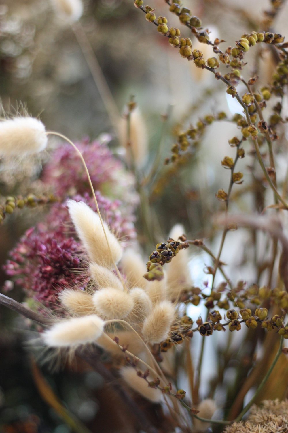 Dried Flowers Varieties for Floral Design — the kokoro garden