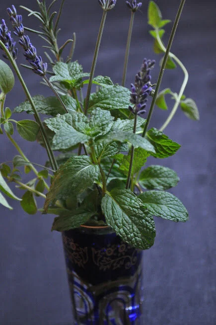 Growing Mint for Flower Farmers: It's Good to be Invasive — the kokoro ...