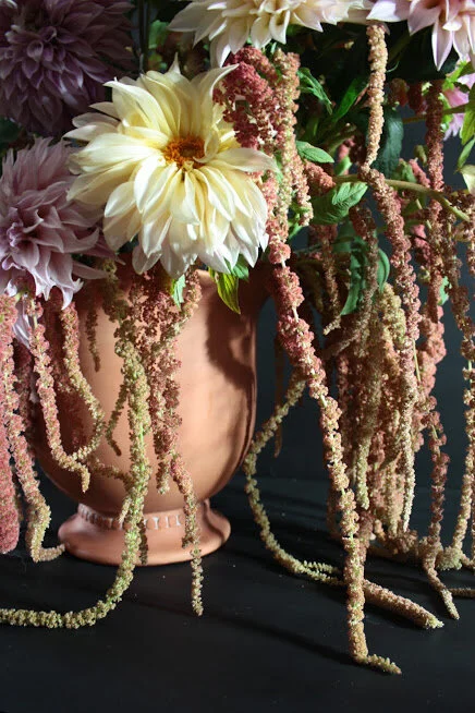 How to Grow Amaranthus for the Cutting Garden — the kokoro garden