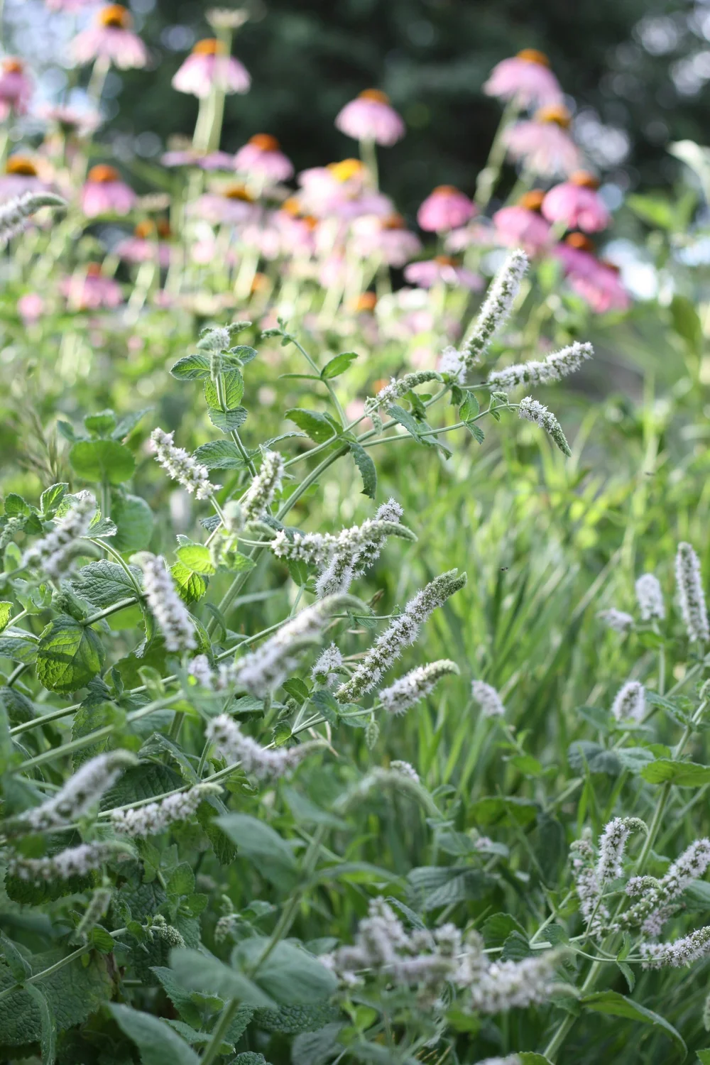 Three Easy Tips to Help You with Floral Design — the kokoro garden