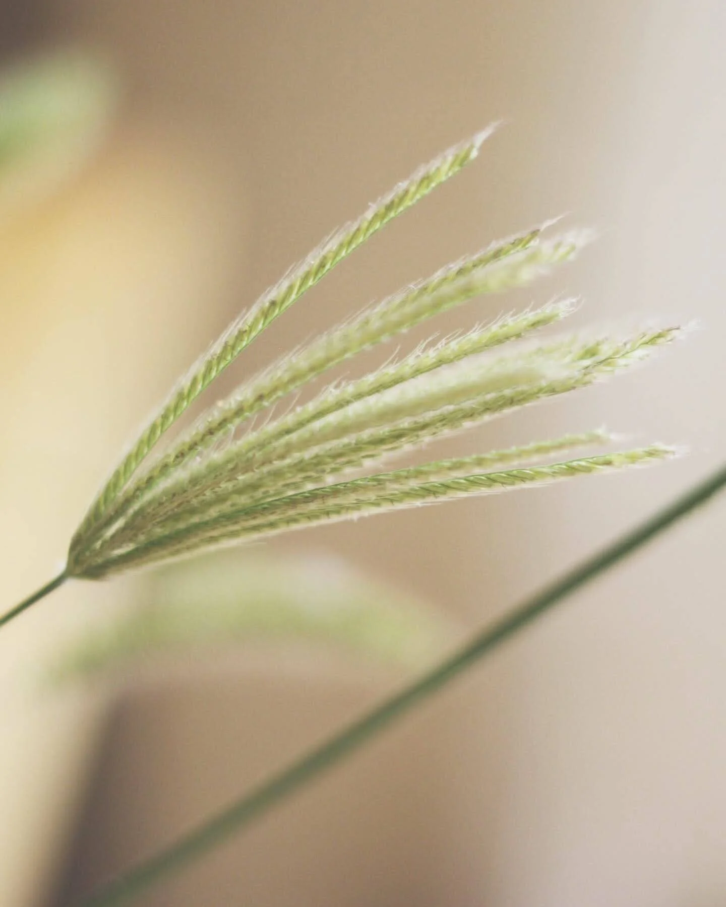 Summer Wildflower and Grass Floral Arrangement — the kokoro garden
