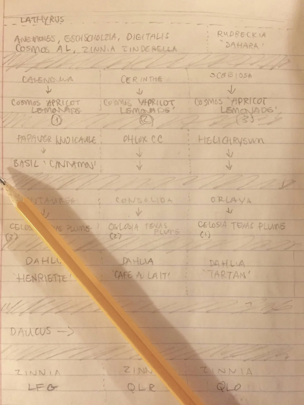 Three Items to Help You Stay on Schedule as a Flower Farmer — the ...