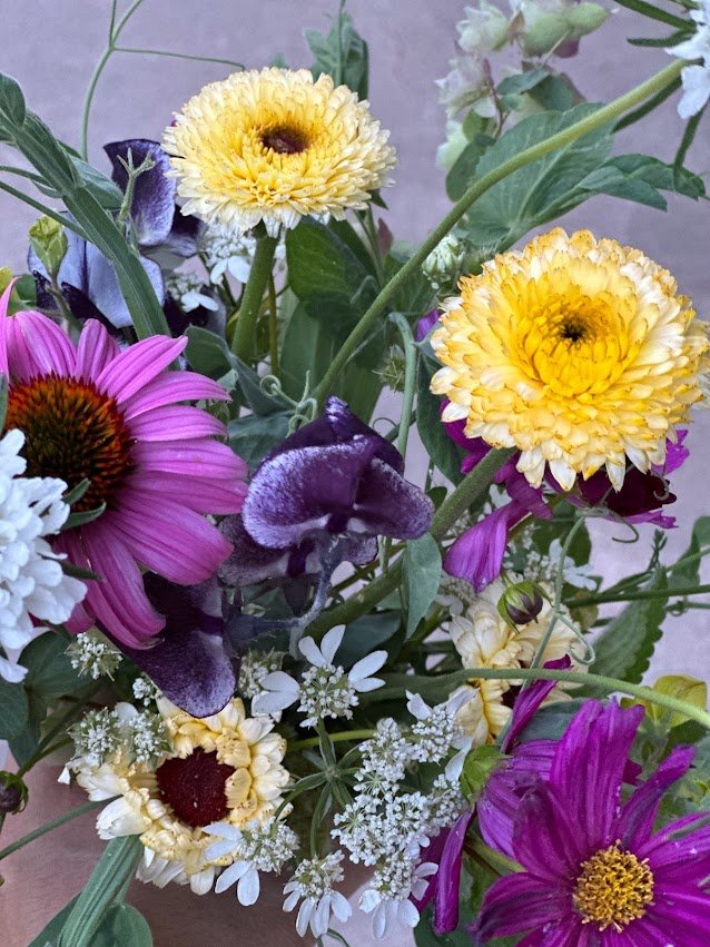 Great Spring Flowers for Small Scale Flower Farms — the kokoro garden