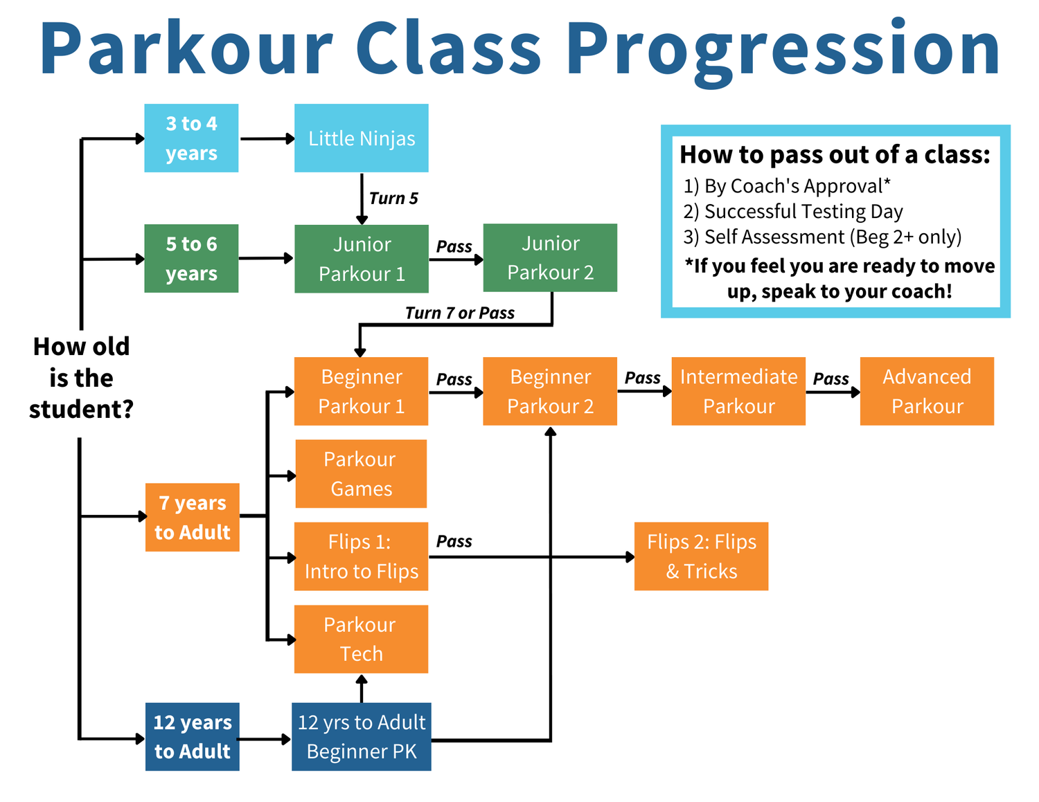 Class Progression — The Movement Park