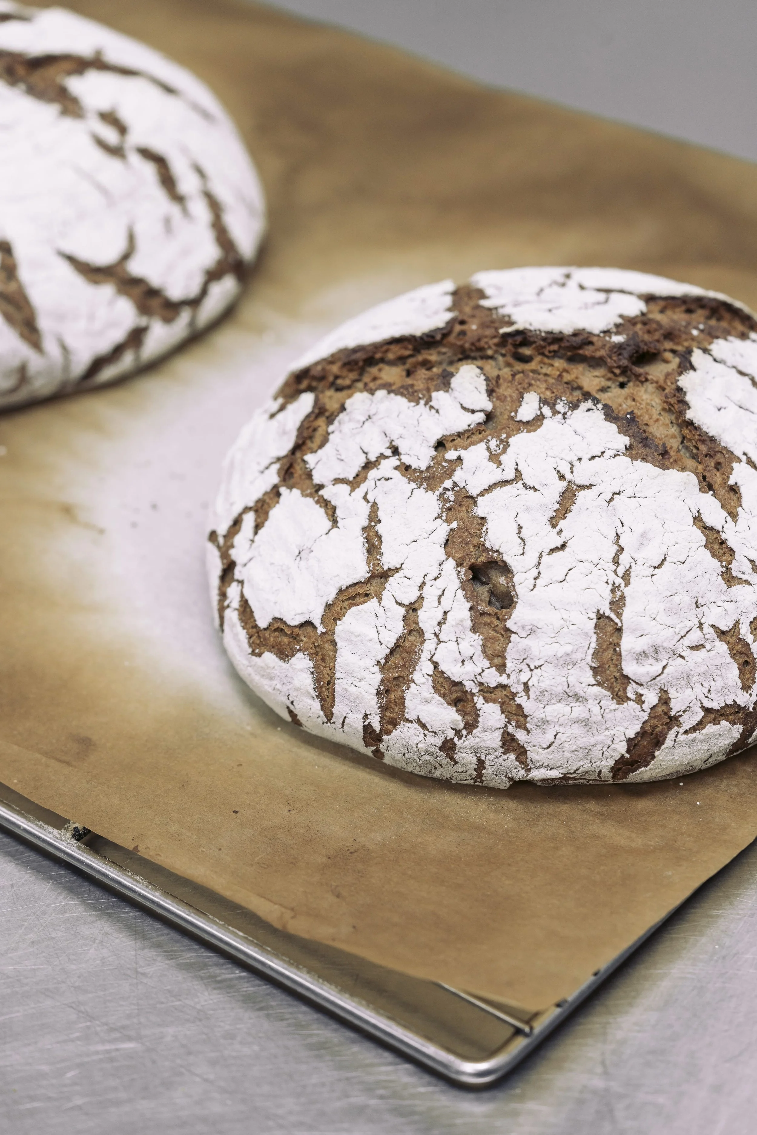 SPECIALITY BREADS — BaKery Artisan Original