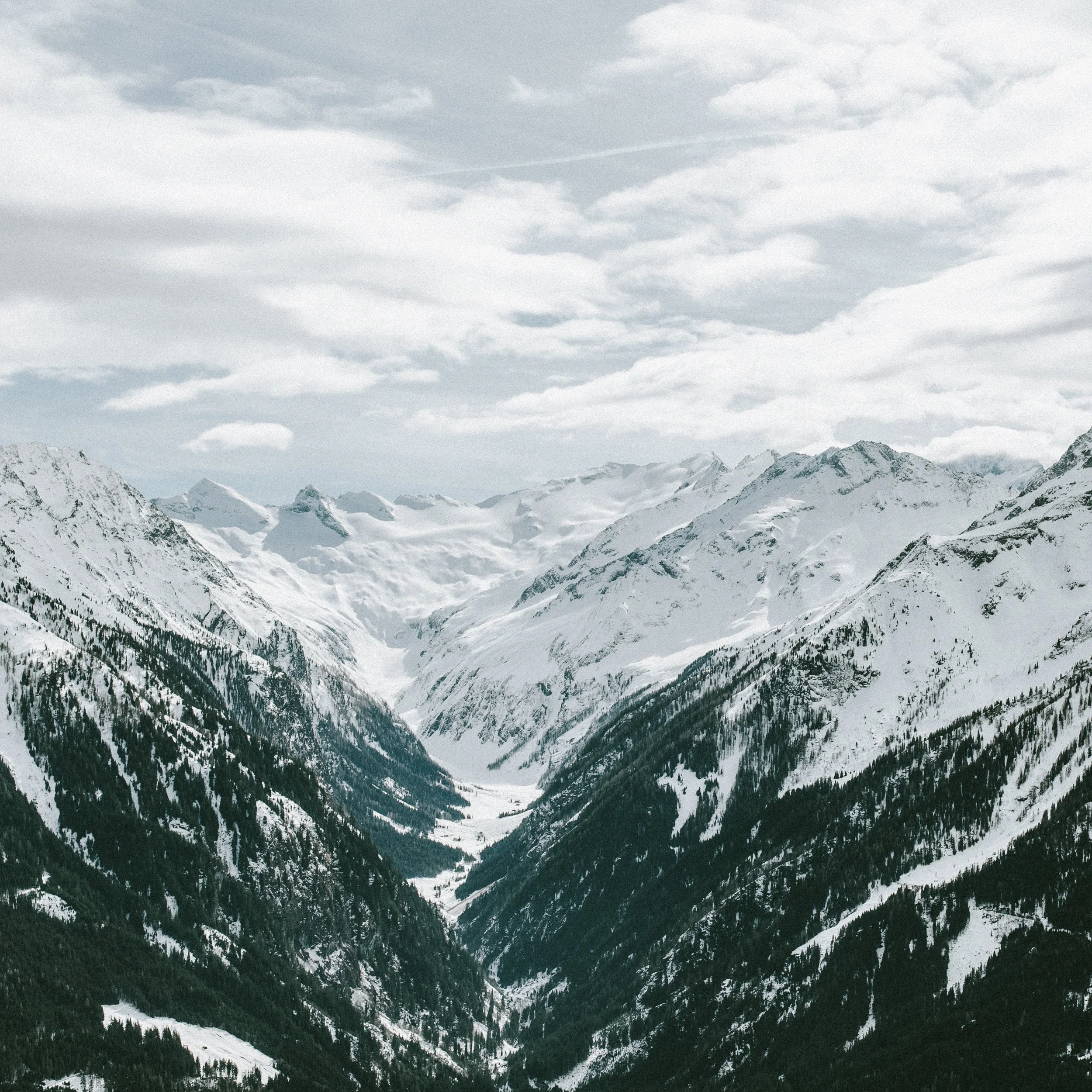 edelweiss | the Alpine Vodka