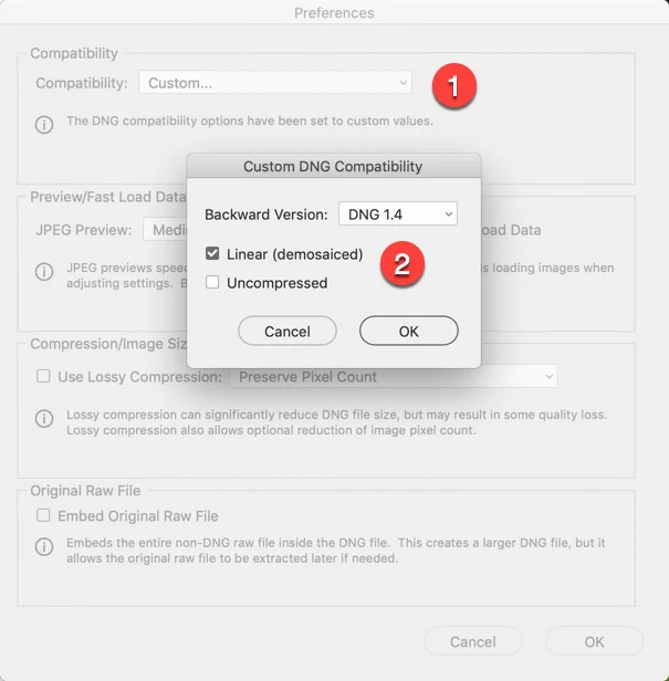 Fix Discovered for Capture One Adobe DNG Import — Timely Photo