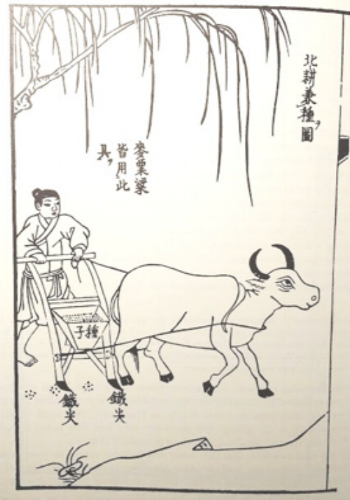 Cropscapes — Francesca Bray