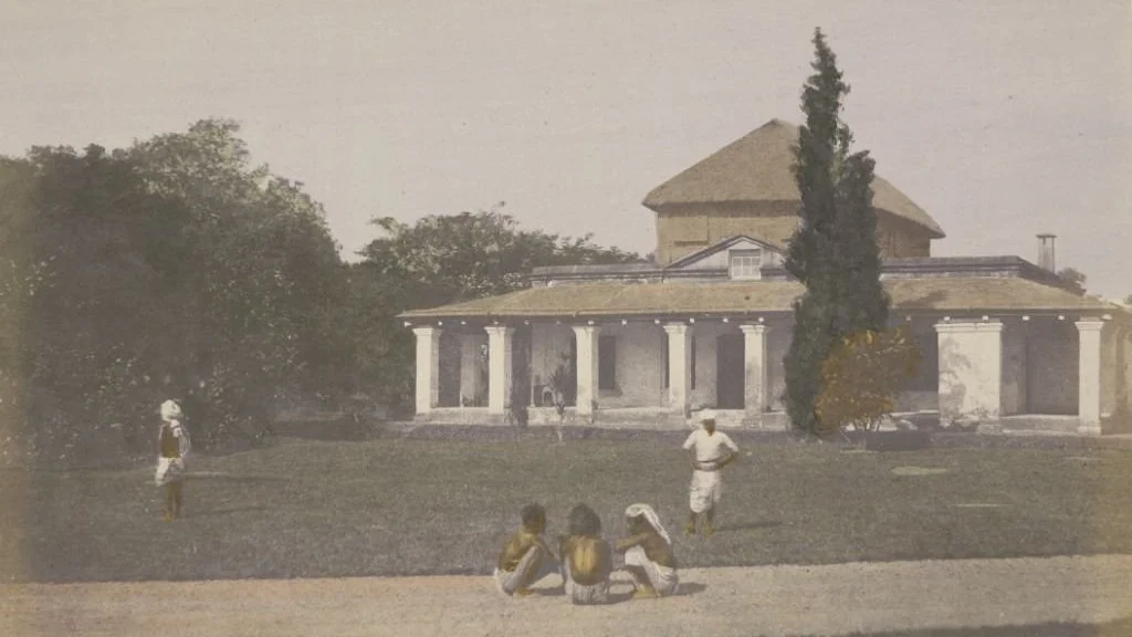 Cropscapes — Francesca Bray