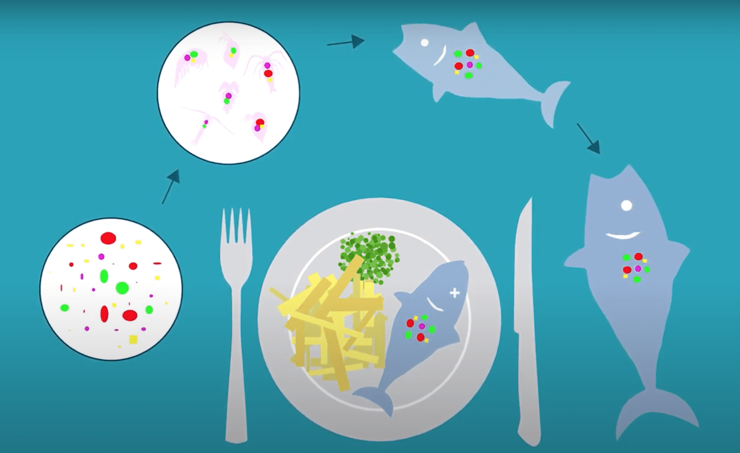 Why FFG — FISH FOR GARBAGE