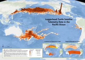 Sea Turtle Nesting and Migration Maps — The State of the World's Sea ...