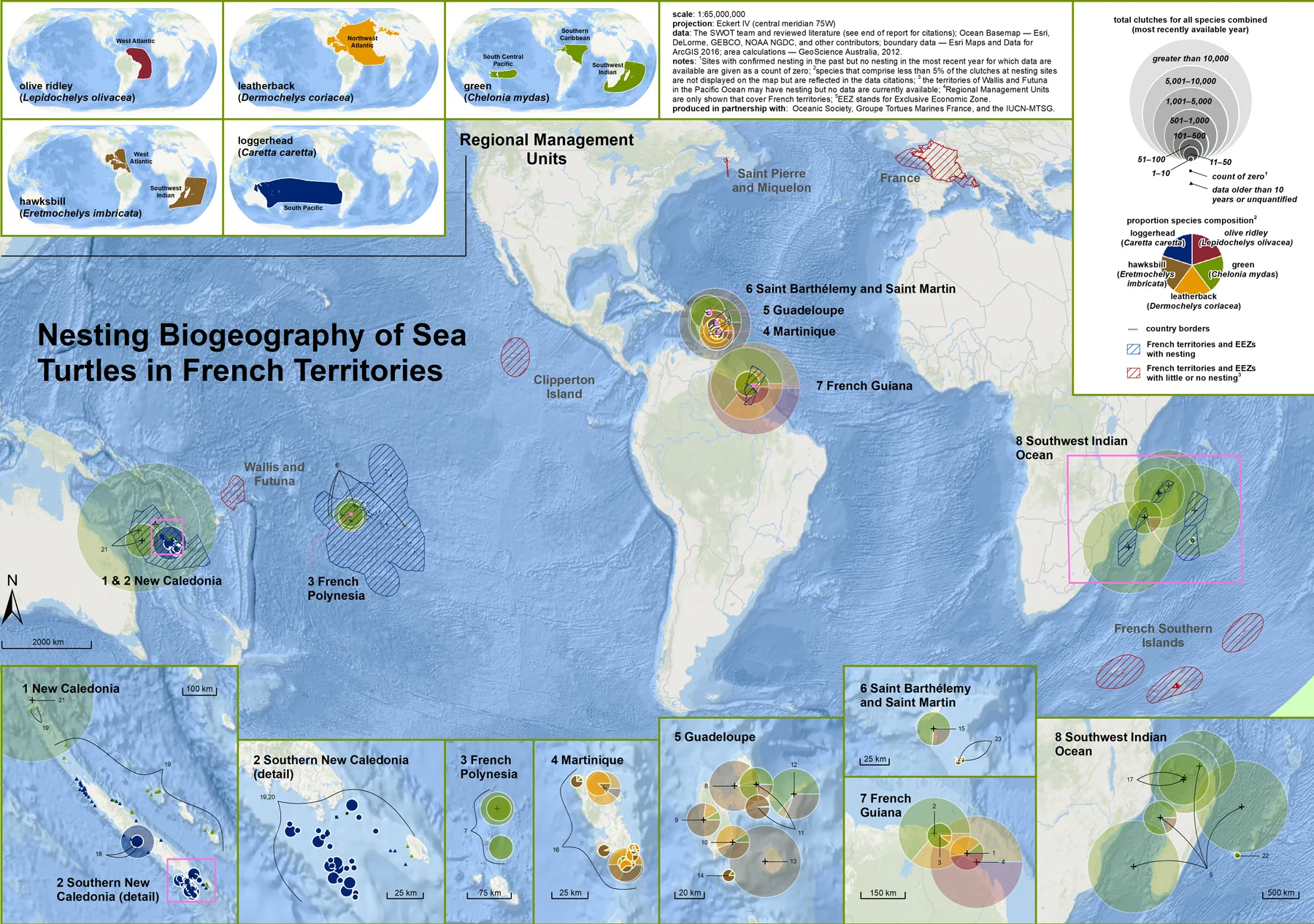Sea Turtle Nesting and Migration Maps — The State of the World's Sea ...