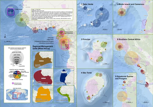 Sea Turtle Nesting and Migration Maps — The State of the World's Sea ...
