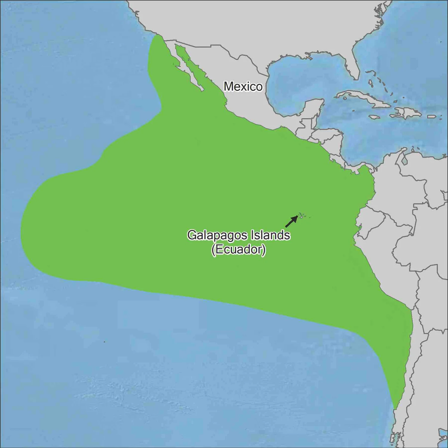 The 12 Healthiest Sea Turtle Populations — The State of the World's Sea ...