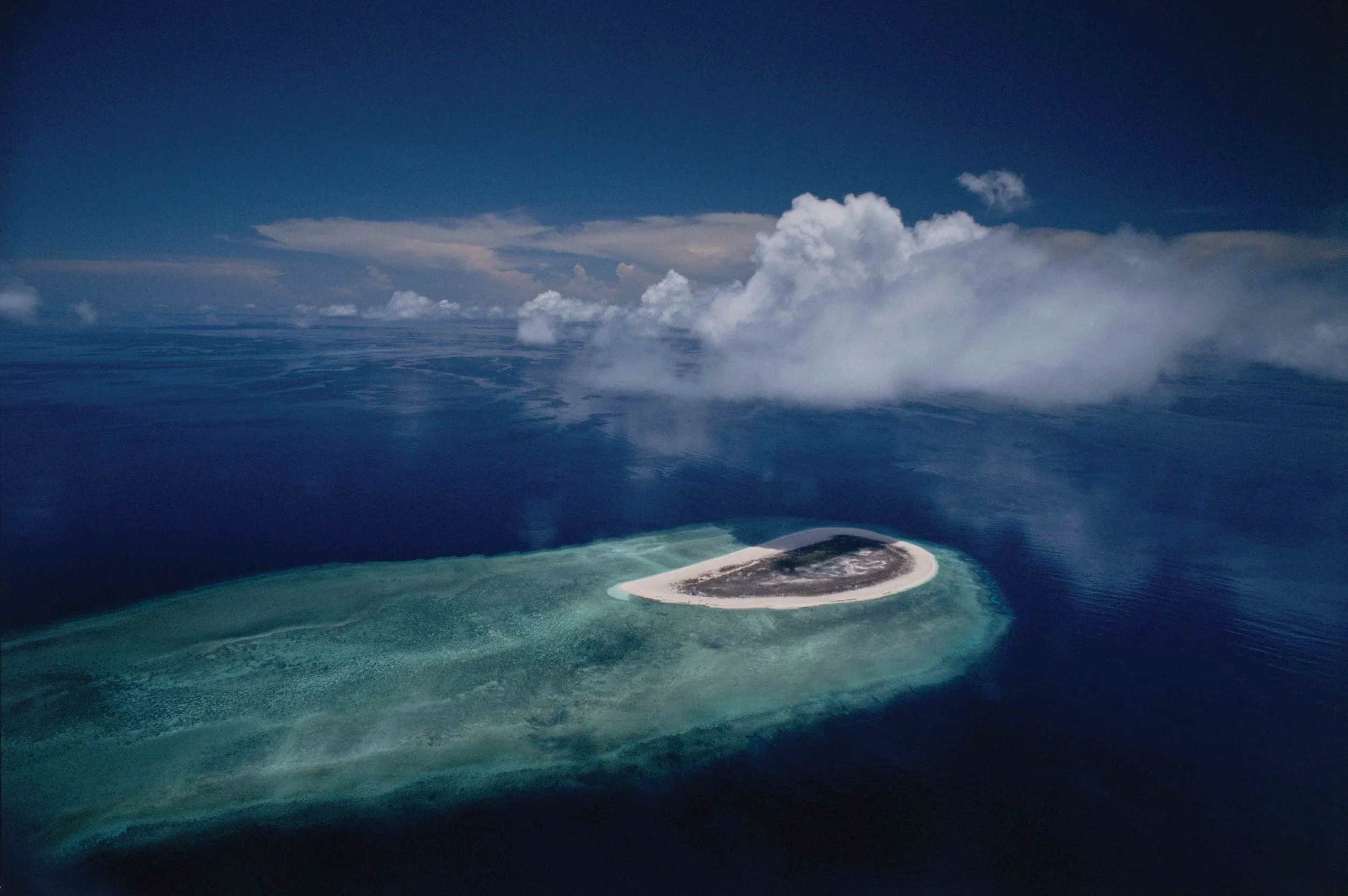 Confronting Climate Change in the Indian Ocean: A Look at Coral Reefs ...