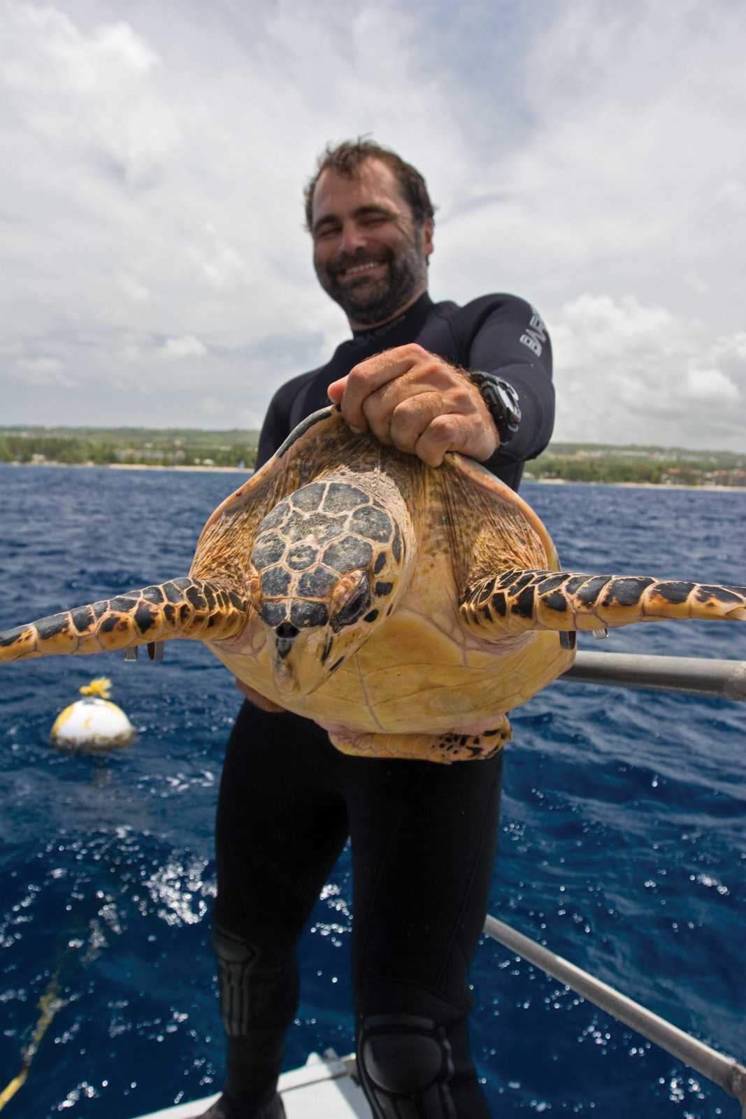 Studying Hawksbills: Where They Live — The State of the World's Sea ...
