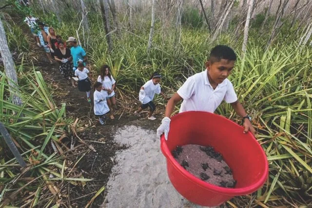 Acting Globally: SWOT Small Grants 2019 — The State of the World's Sea ...