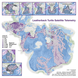 Sea Turtle Nesting and Migration Maps — The State of the World's Sea ...