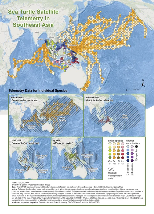 Sea Turtle Nesting and Migration Maps — The State of the World's Sea ...