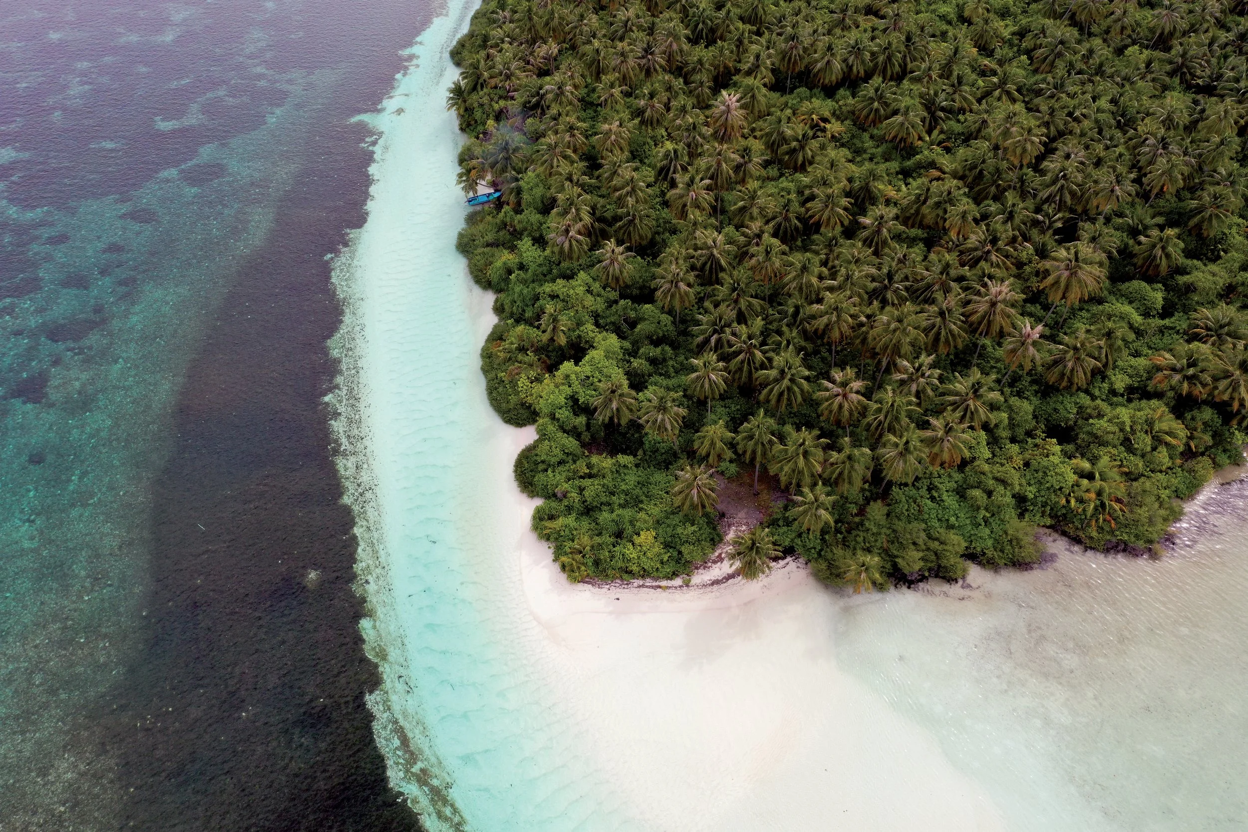 Traditional Conservation Methods Help Sea Turtles in the Maldives — The ...
