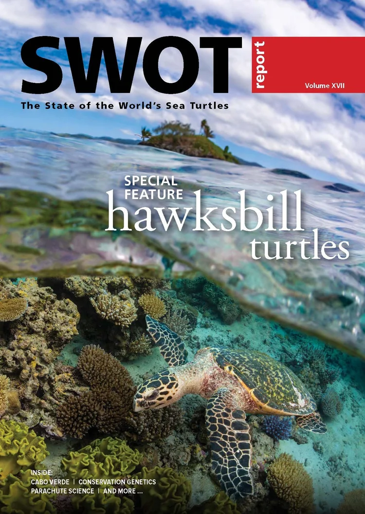 SWOT Reports — The State of the World's Sea Turtles | SWOT