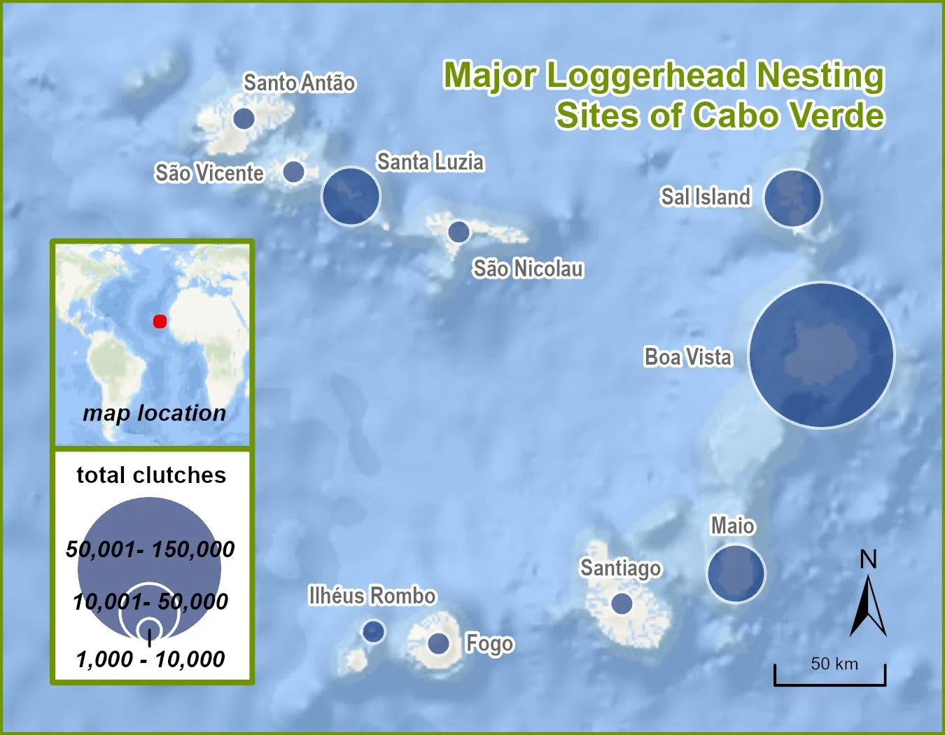 Cabo Verde: Sea Turtles "In Abundance" — The State of the World's Sea ...