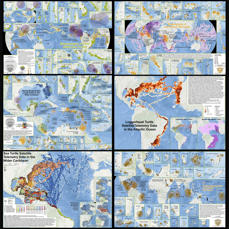SWOT's Maps of Sea Turtle Nesting and Distribution — The State of the ...