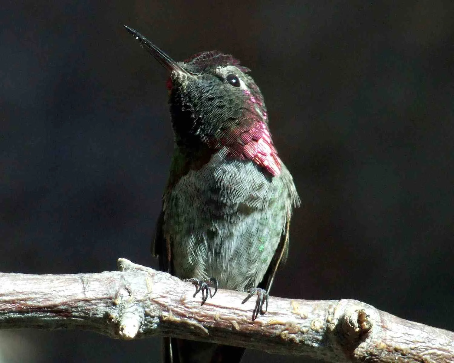 Publications — Avery Locklear Photography