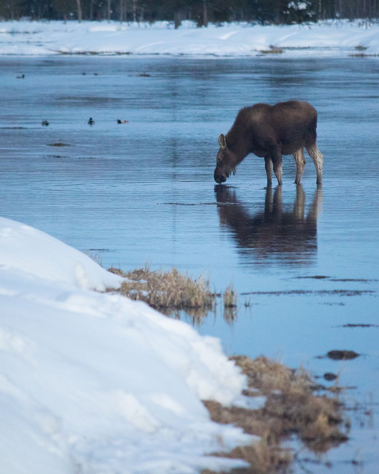 Avery Locklear Photography