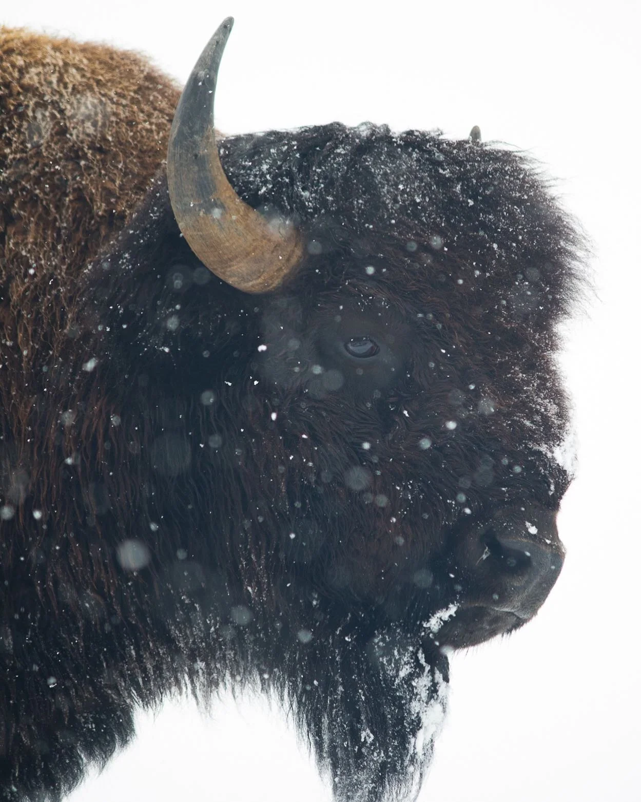 Avery Locklear Photography