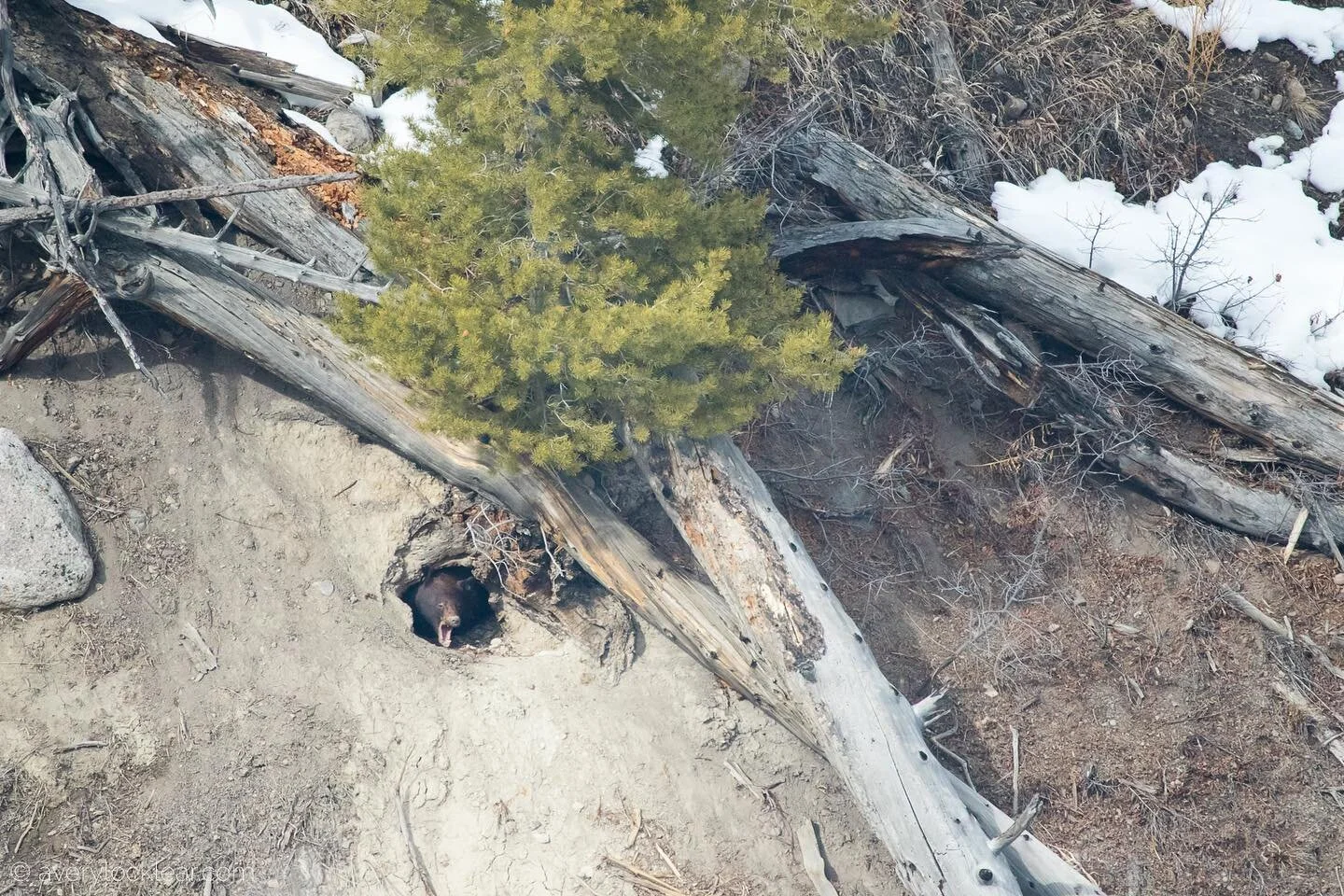 Avery Locklear Photography