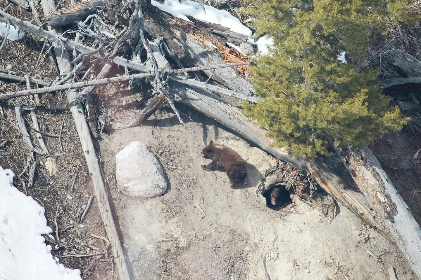 Avery Locklear Photography