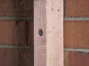 PYTHON MT | Masonry Screws & Anchors — PYTHON Fixings NZ