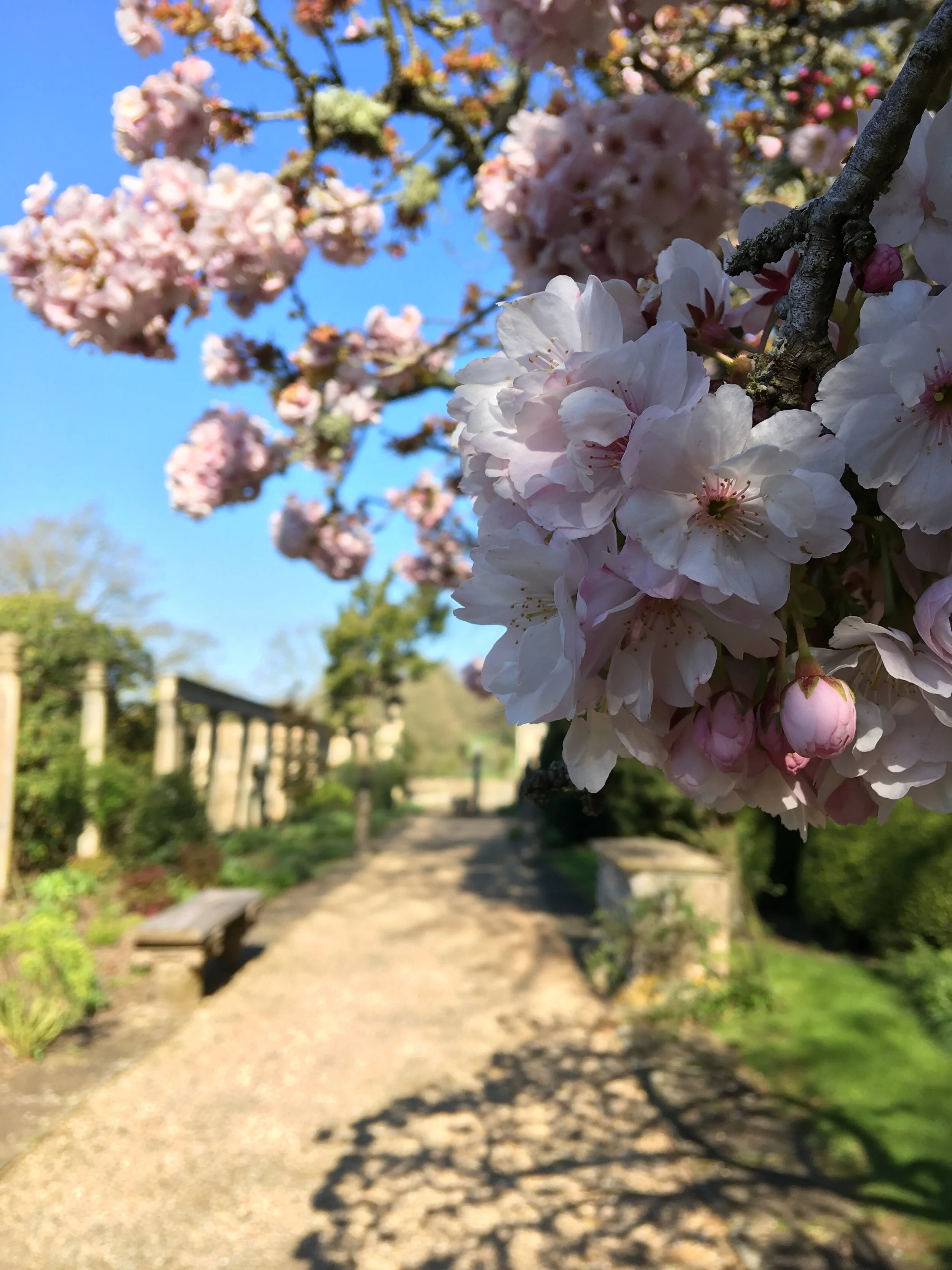 What's On? — Iford Manor Estate