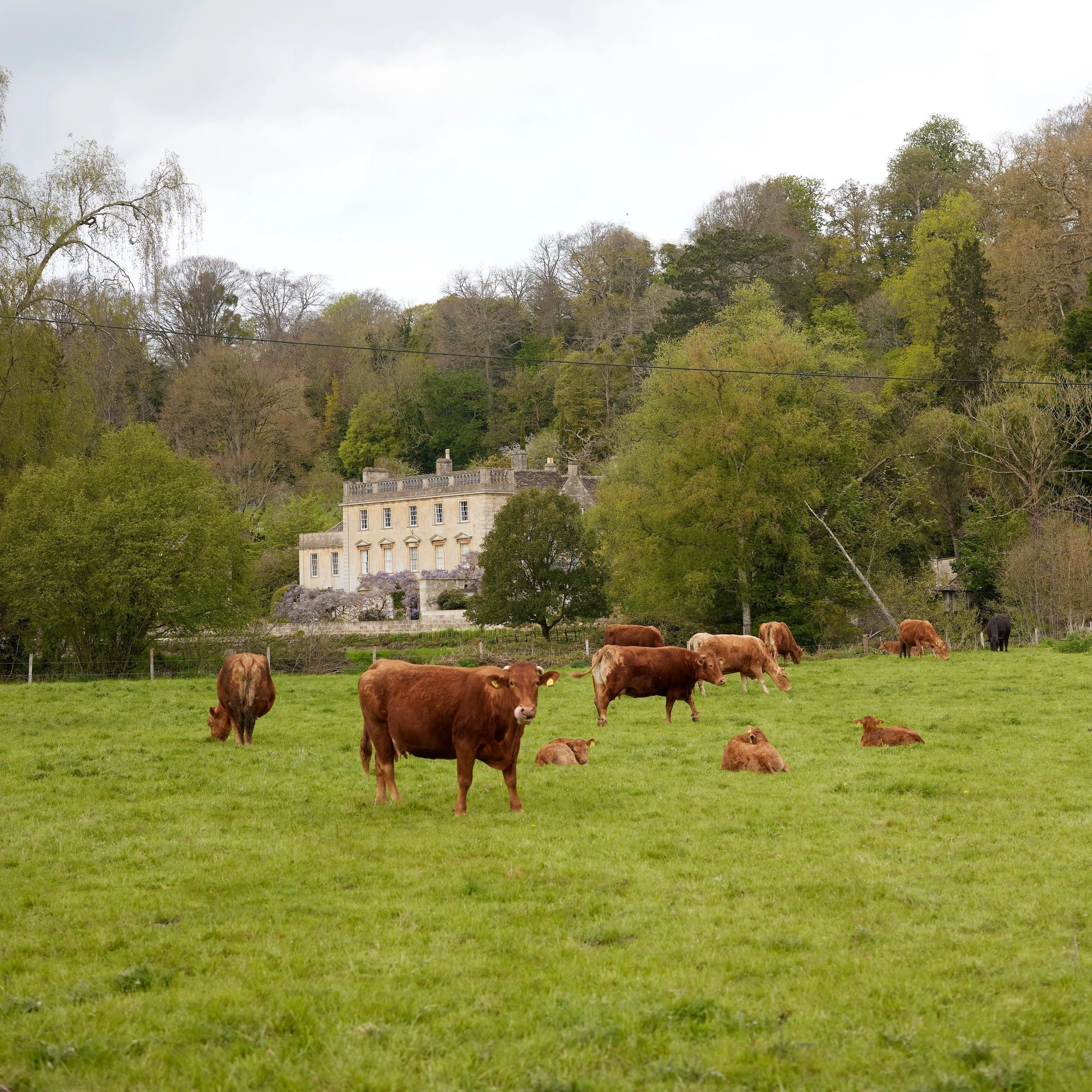 Iford Manor Estate