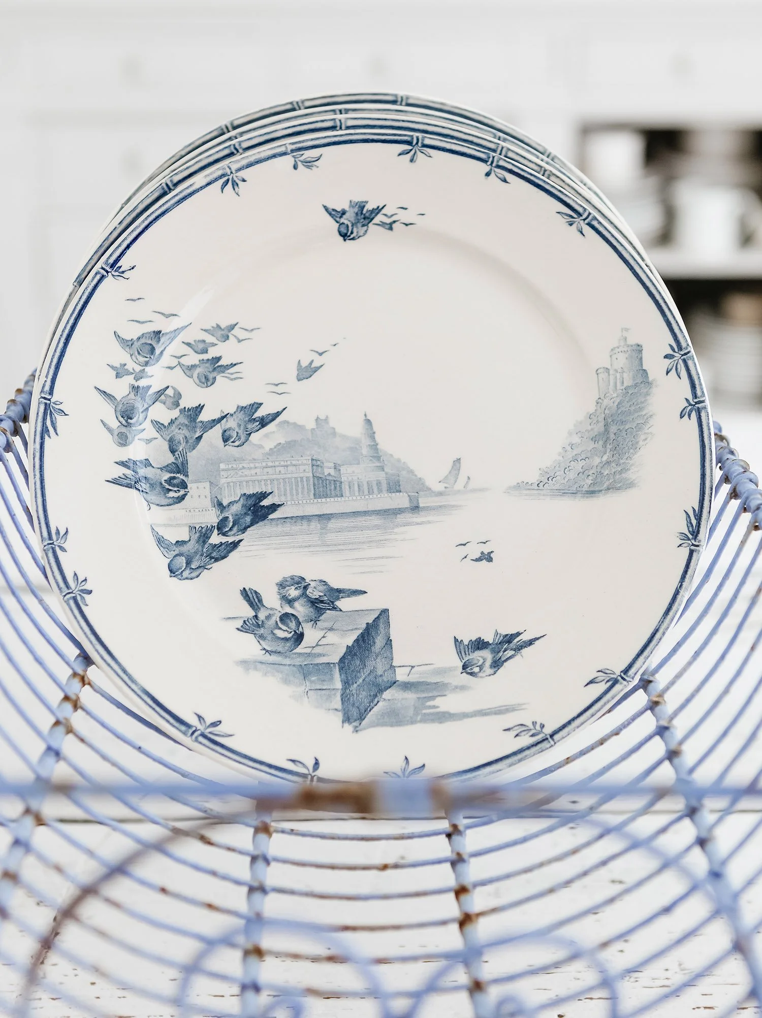 French Larkspur-Summer Collection Available Tonight!