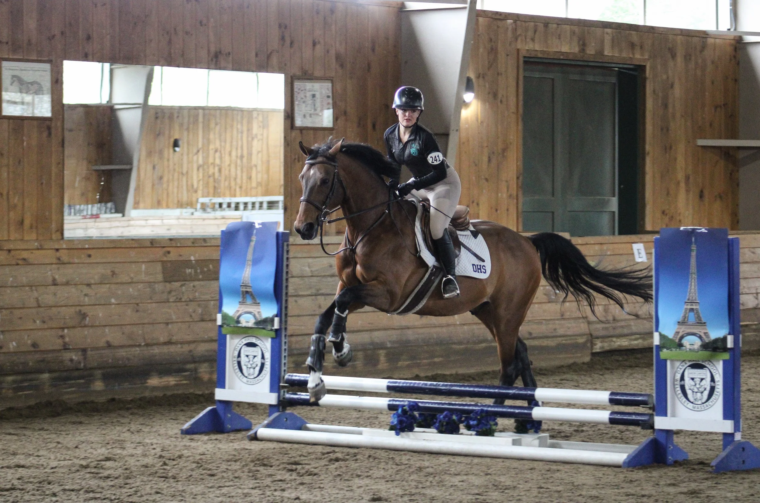 Athletic Equestrian