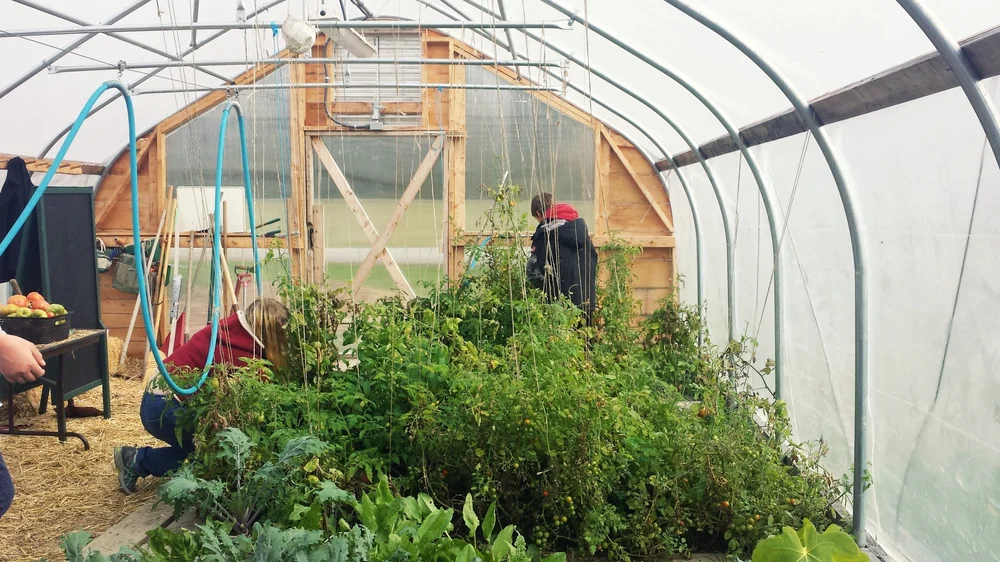 Campus — The Riley School