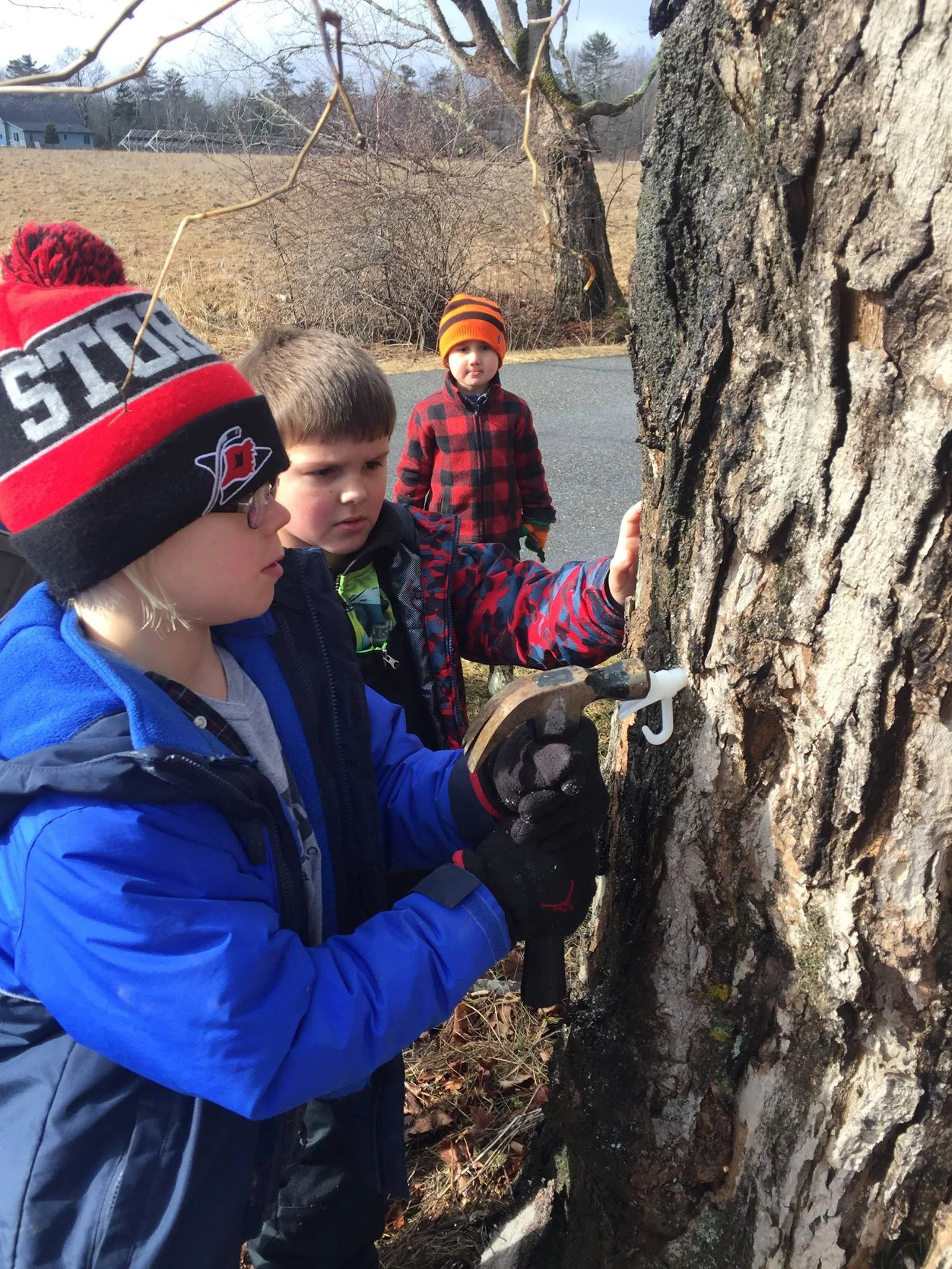 Campus — The Riley School