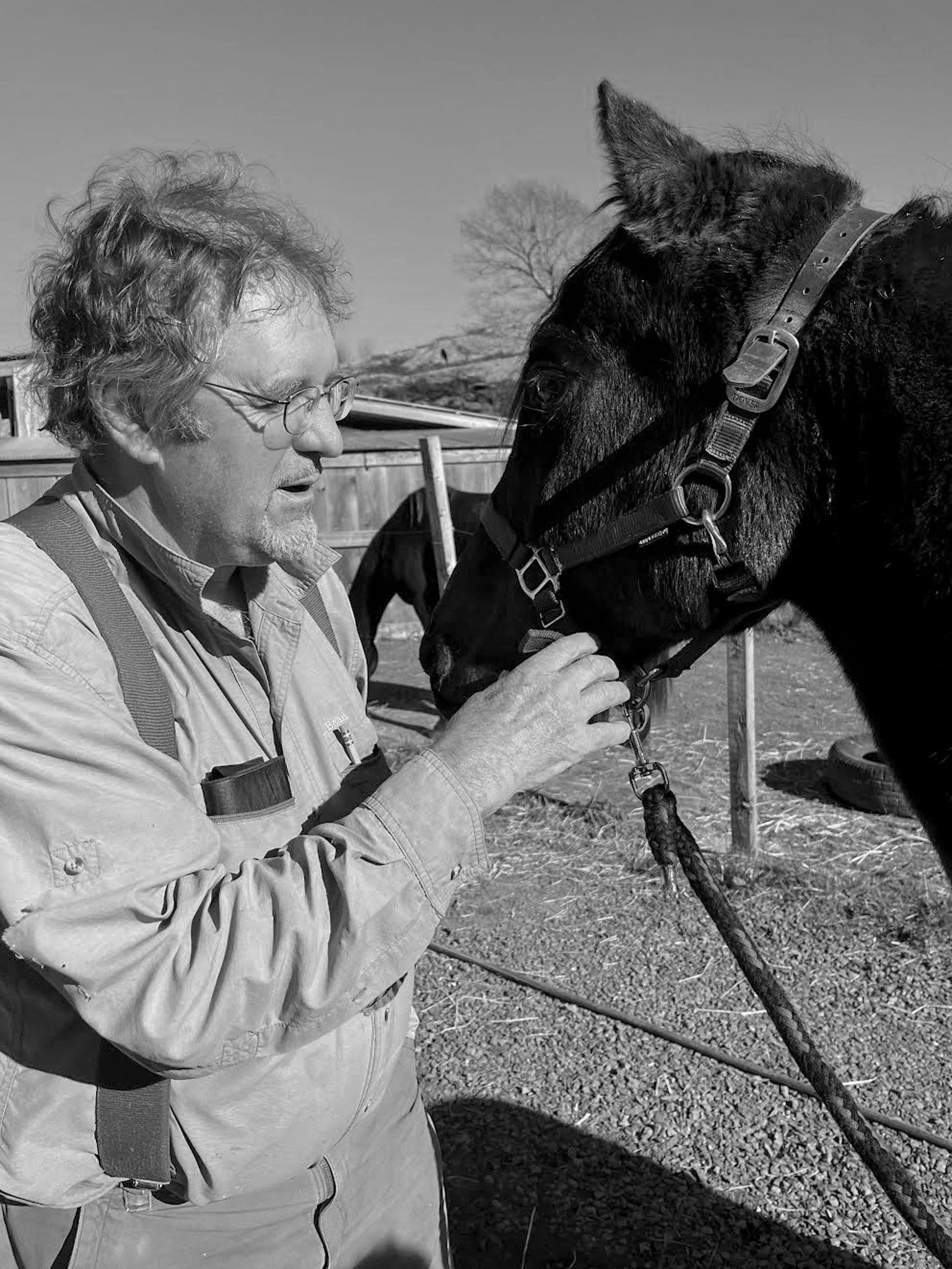 Meet Our Faculty and Staff — The Riley School