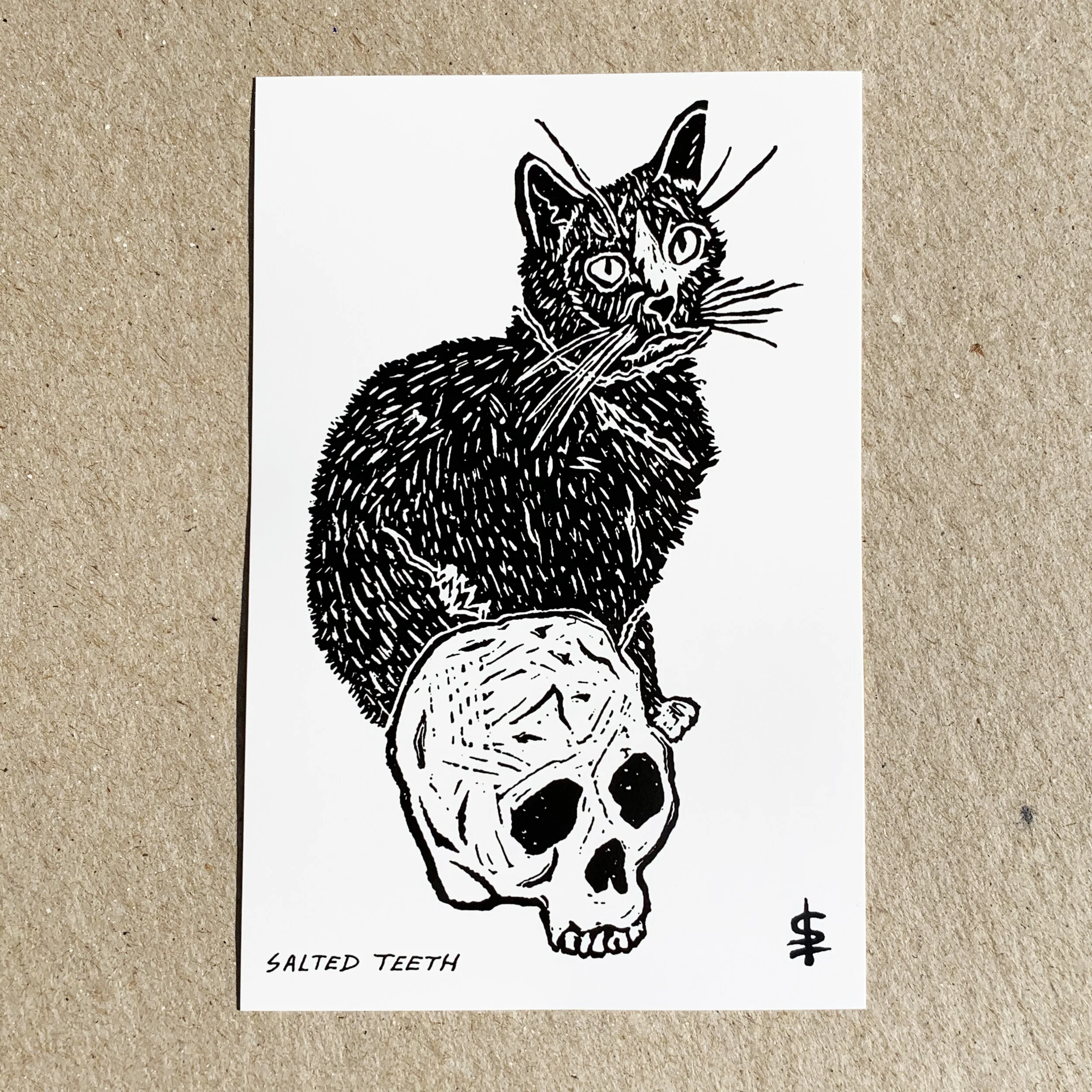 STICKERS — Salted Teeth