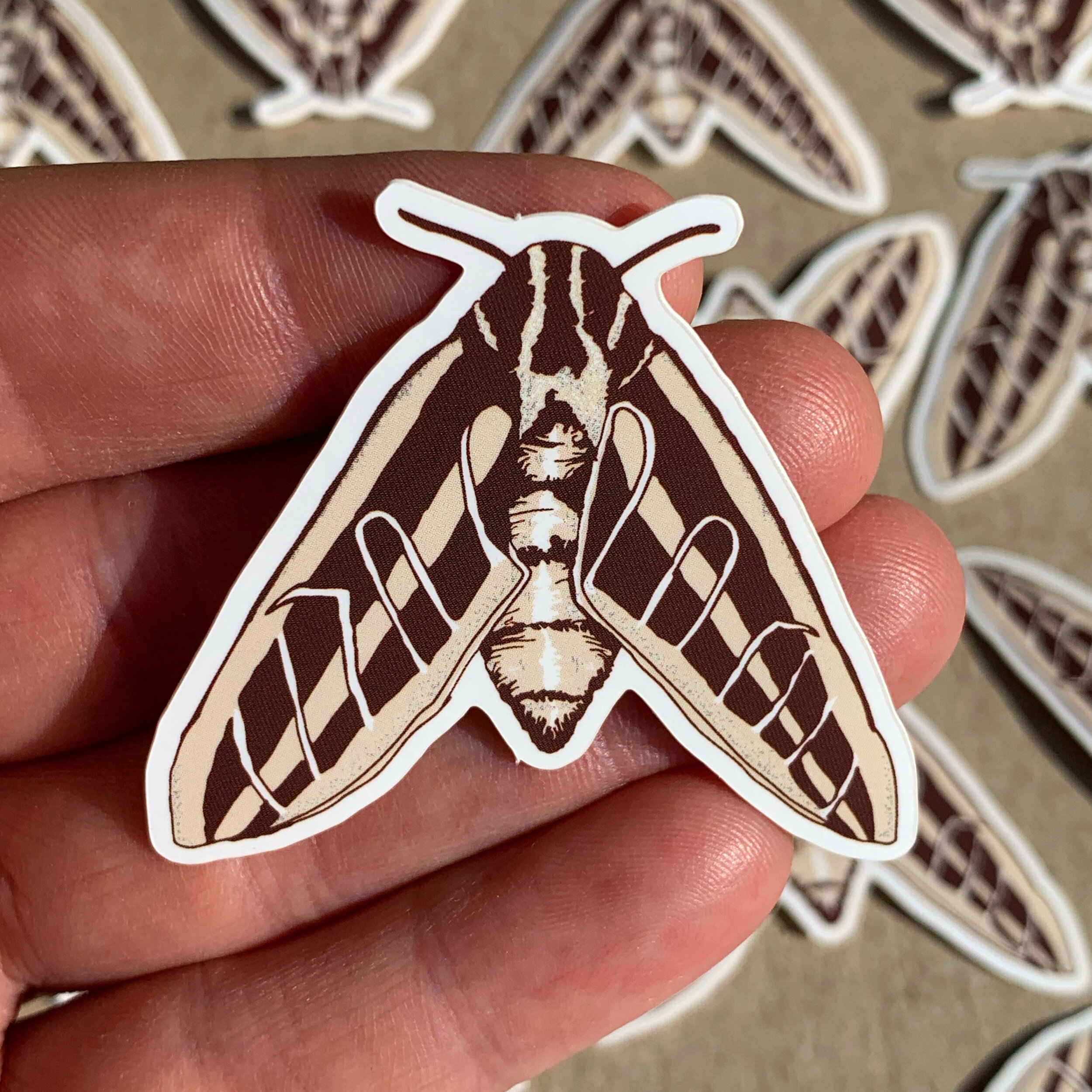 Desert Moth Sticker Stickers, Labels & Tags Paper & Party Supplies etna ...