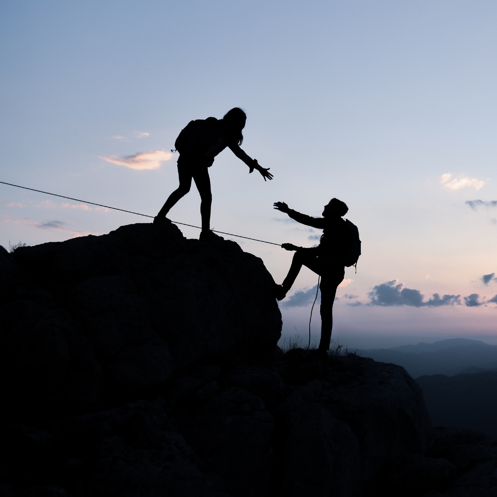 Pinnacle Leadership Associates