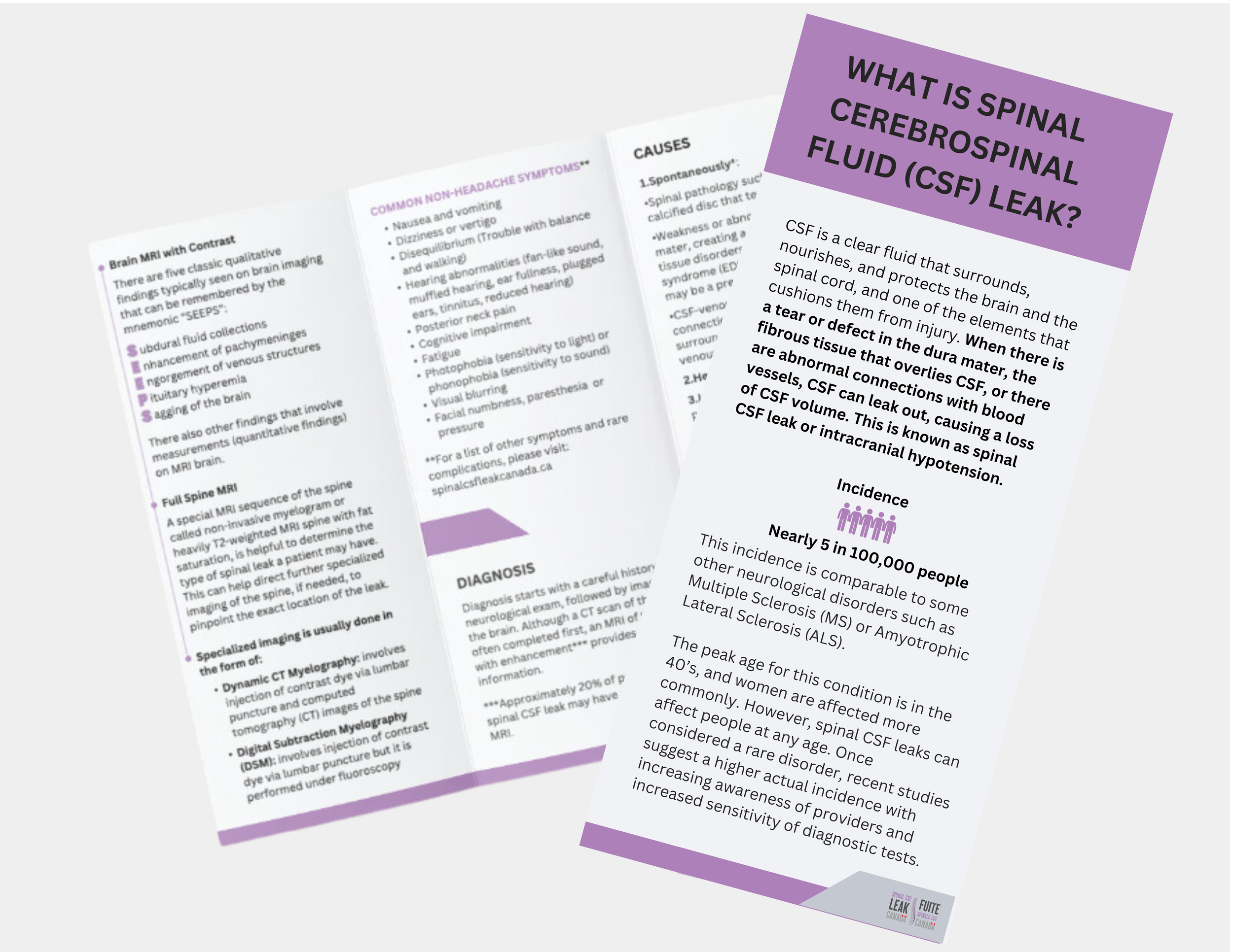 The Spinal Cerebrospinal Fluid (CSF) Leak Pamphlet — SPINAL CSF LEAK CANADA